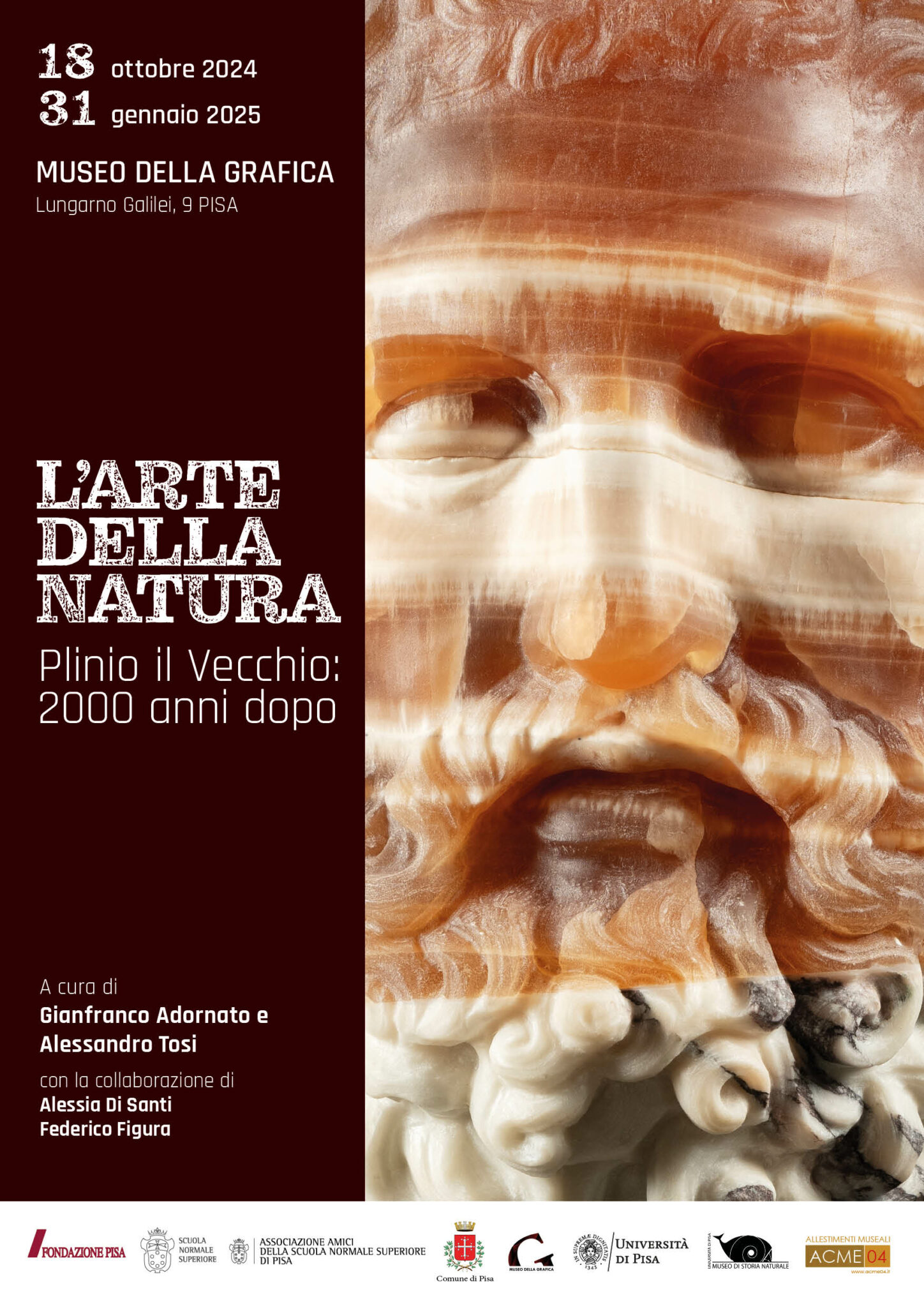 Finissage della mostra “L’arte della natura. Plinio il Vecchio: 2000 ...
